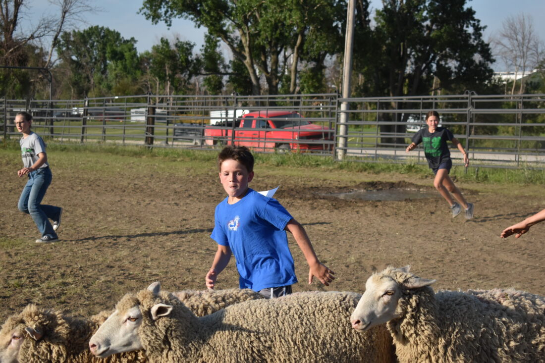 A night at the rodeo | News, Sports, Jobs - Times Republican